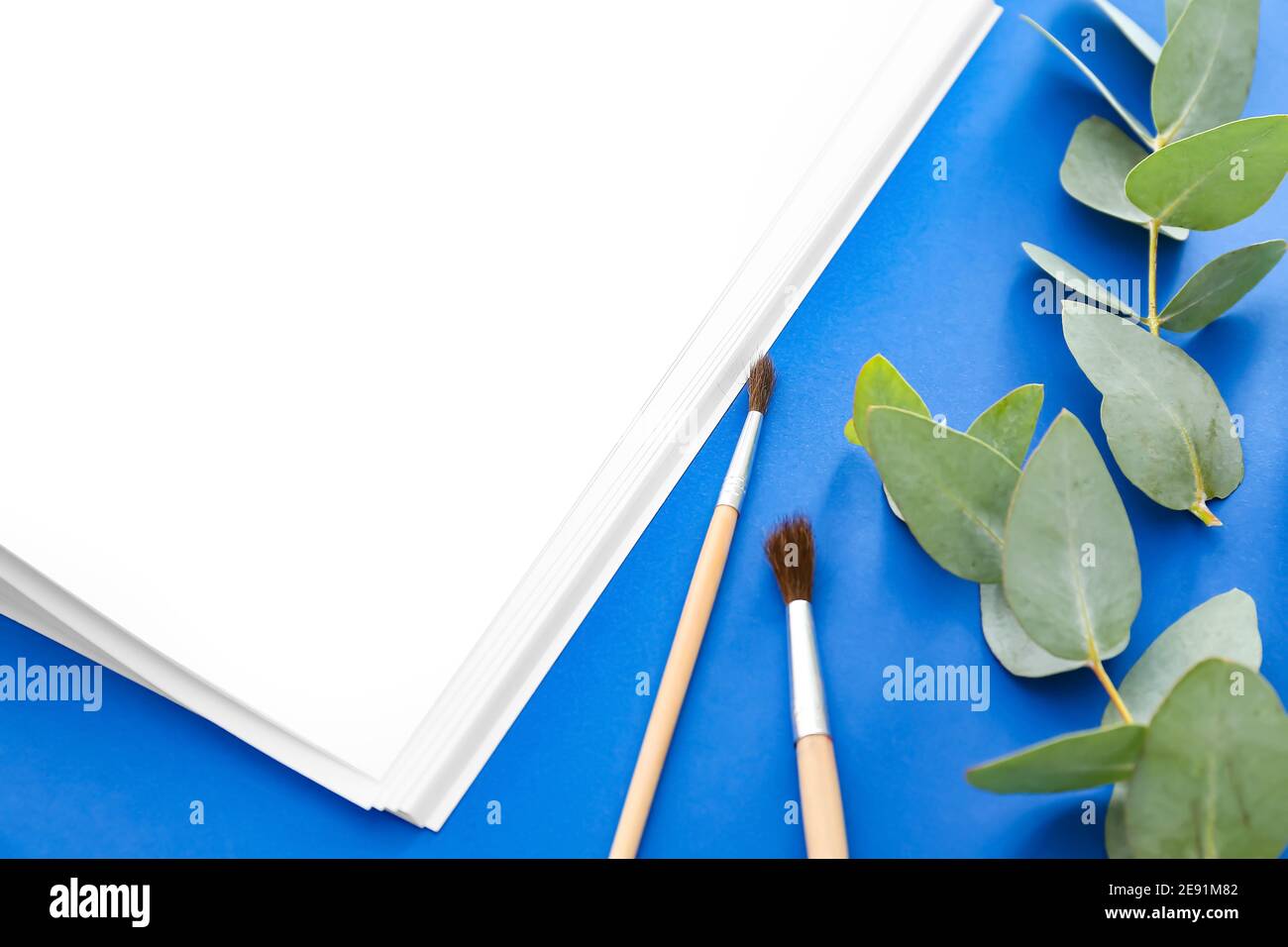 Blank magazine and brushes on color background Stock Photo - Alamy