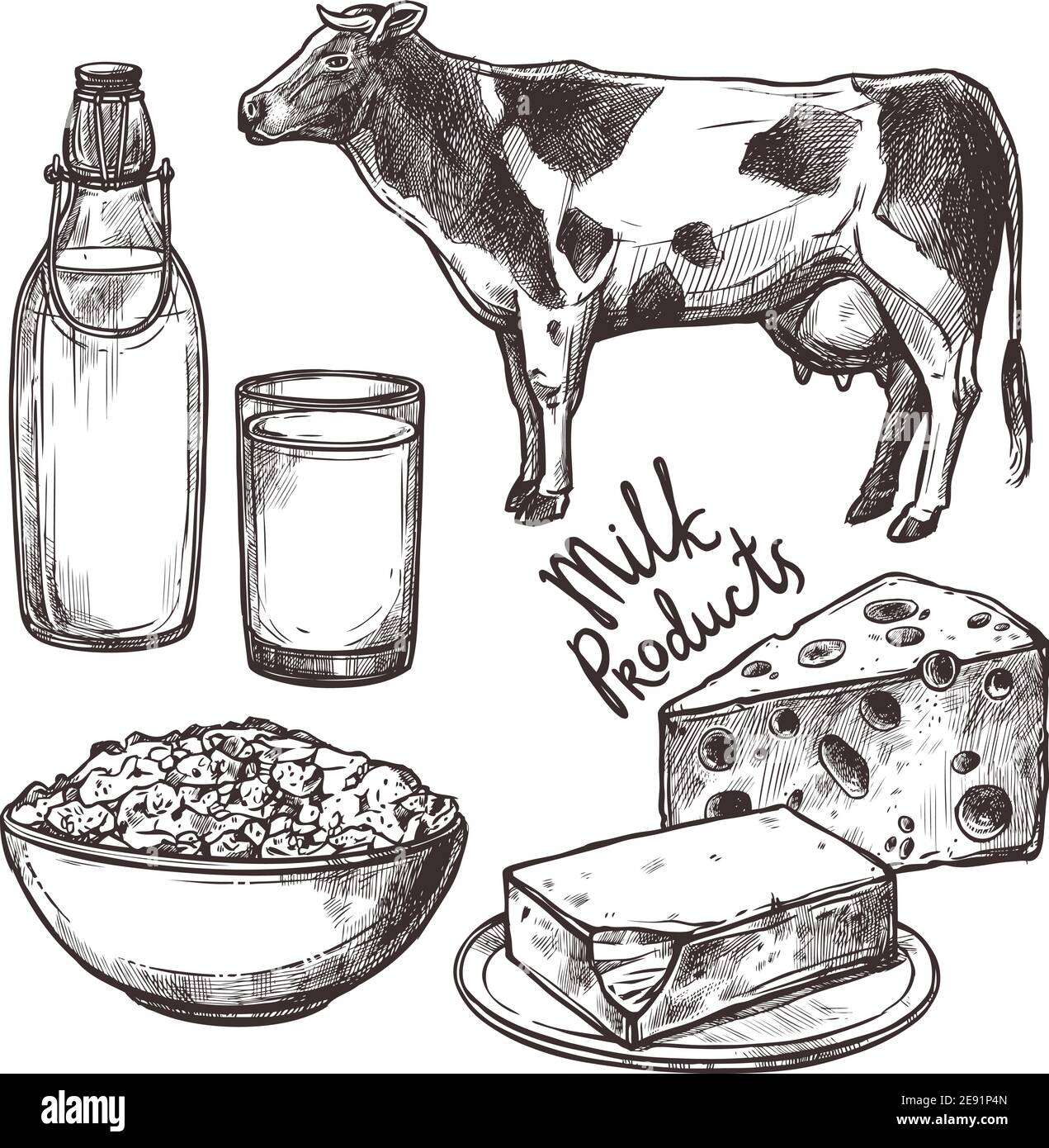 Cow Products Drawing