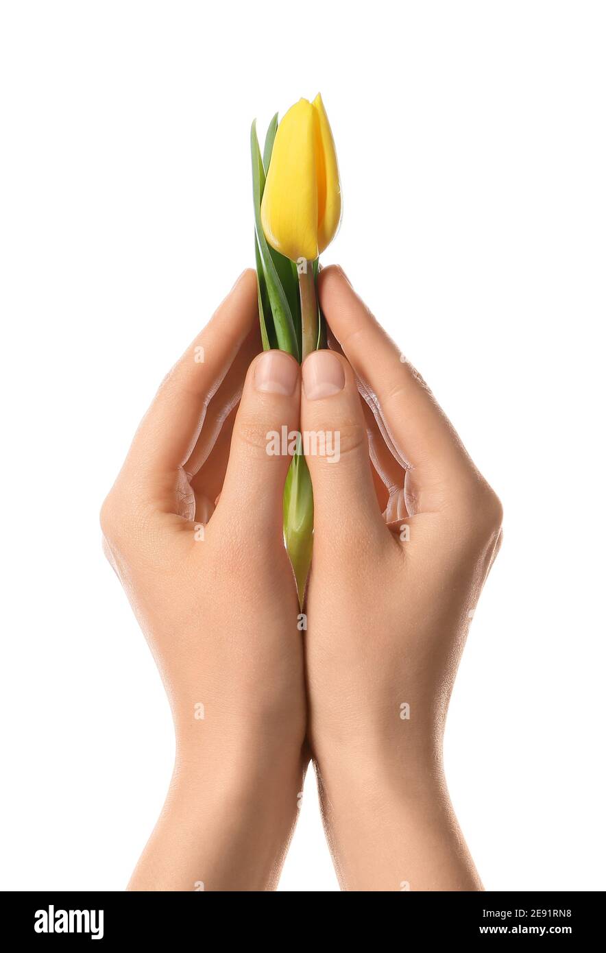 Beautiful hands flower petals Cut Out Stock Images & Pictures - Alamy