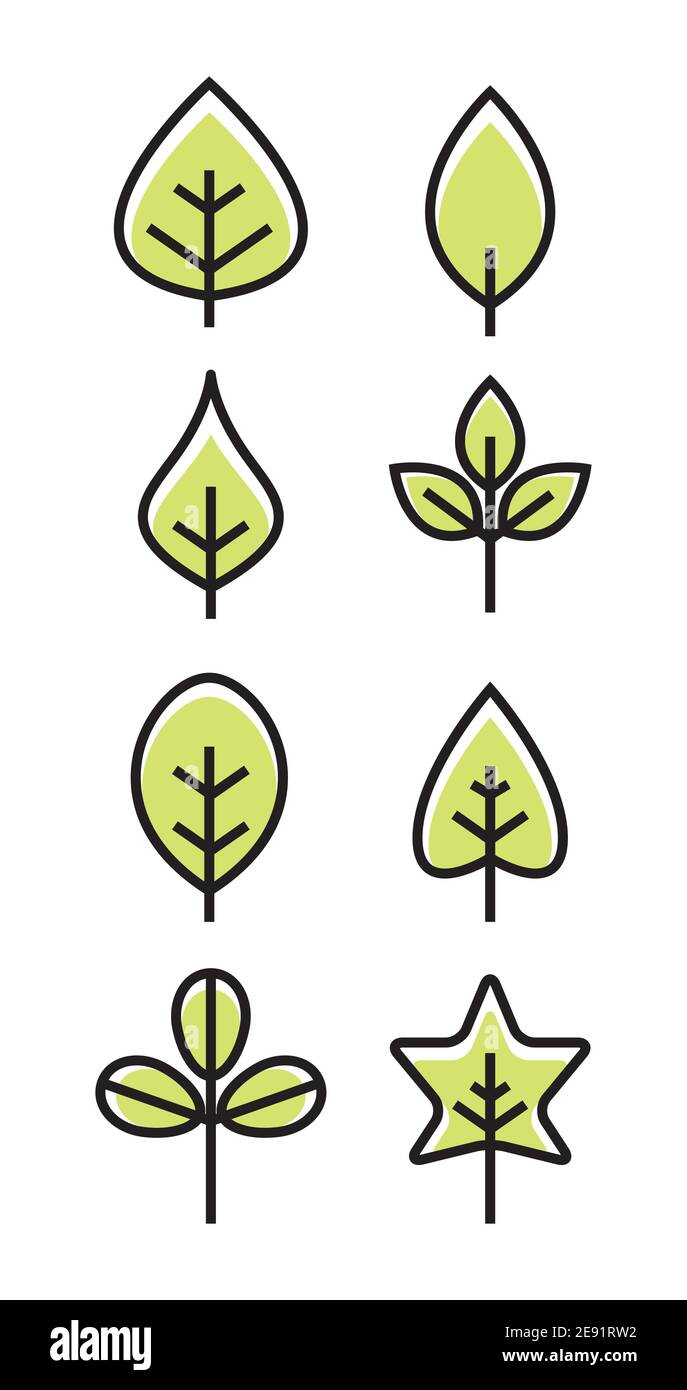 Leaf vector design line icon. Green line leaf plant outline symbol ...