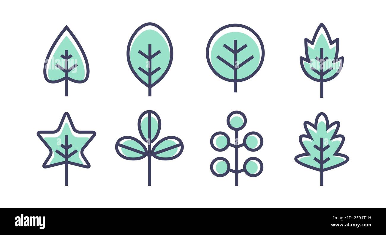 Leaf vector design line icon. Green line leaf plant outline symbol ...