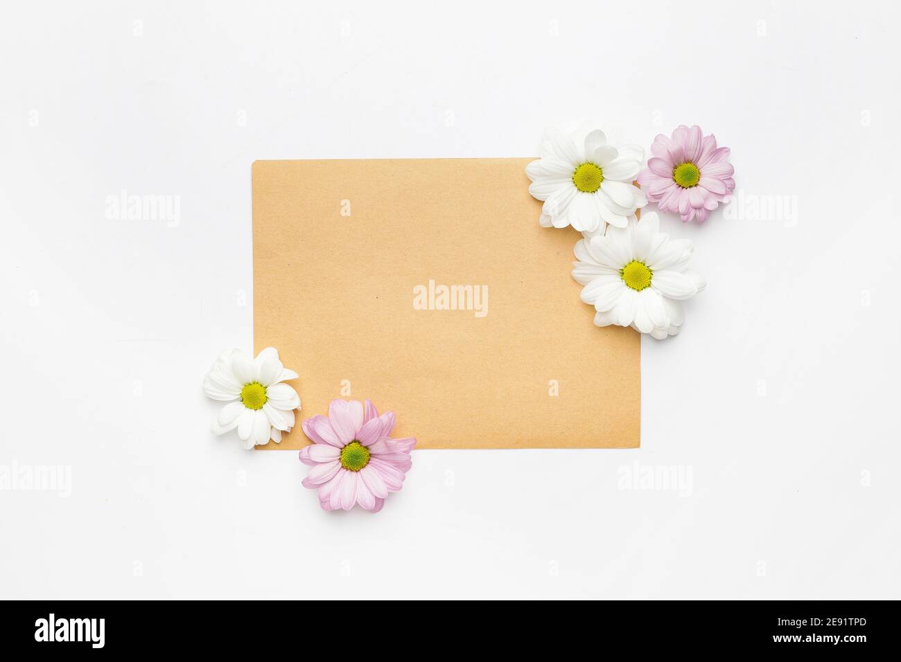 Empty card with beautiful flowers on white background Stock Photo - Alamy