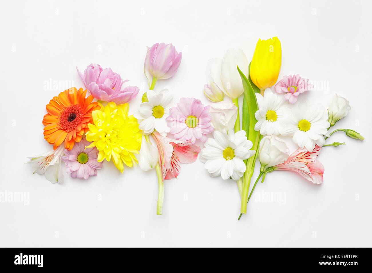 Beautiful spring flowers on white background Stock Photo - Alamy