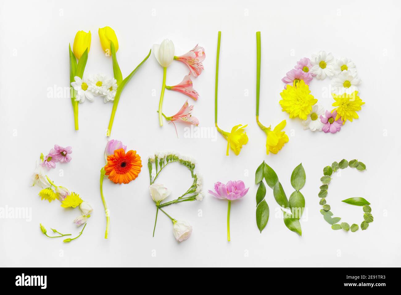 Text HELLO SPRING made of flowers on white background Stock Photo - Alamy