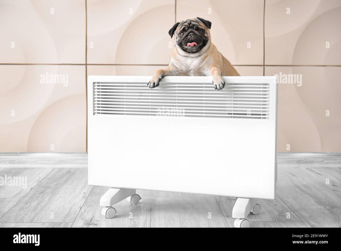 Cute pug dog with electric convector heater at home. Concept of heating ...