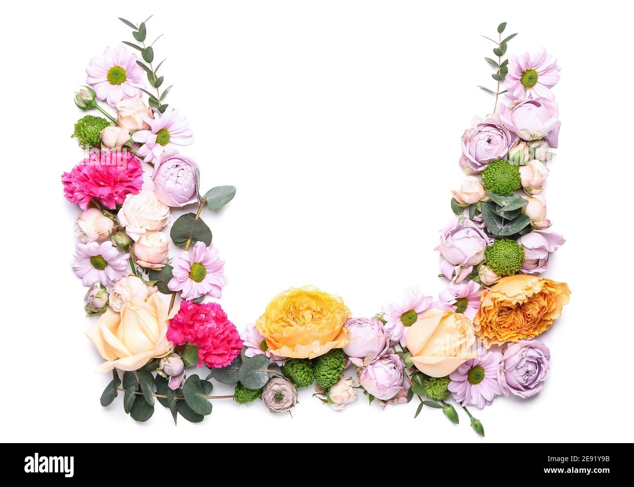 Beautiful flowers on white background Stock Photo - Alamy