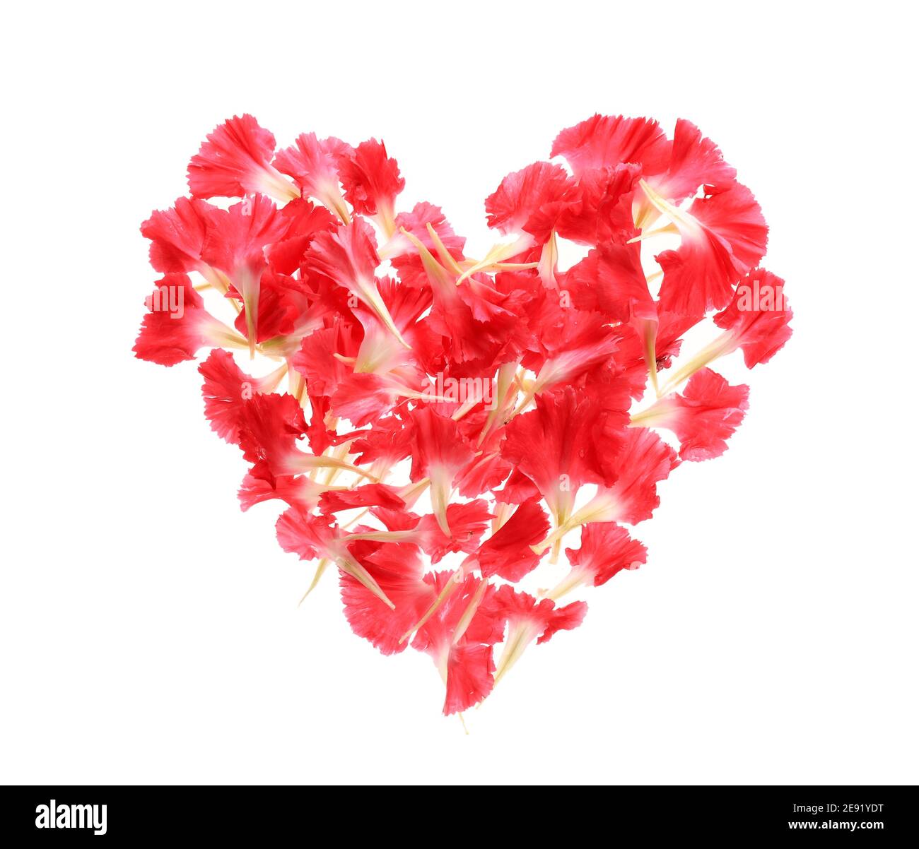 Beautiful heart made flowers Cut Out Stock Images & Pictures - Alamy