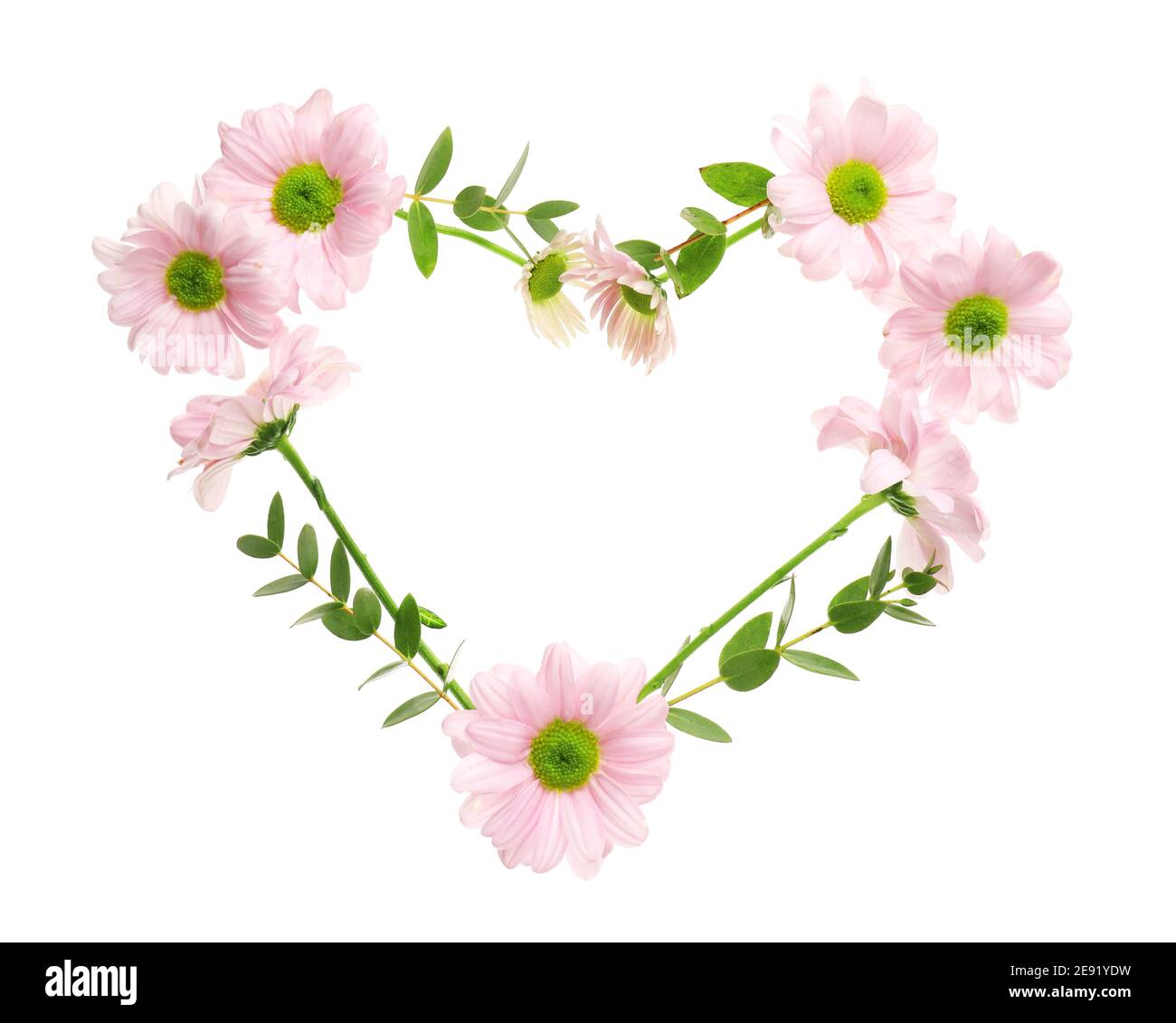 Heart made of beautiful flowers on white background Stock Photo - Alamy