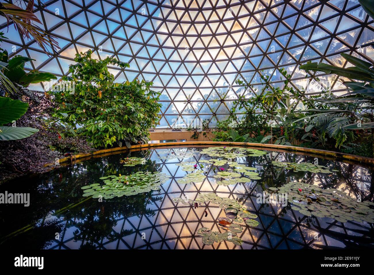 Tropical Display Dome inside the Brisbane botanic gardens Stock Photo ...