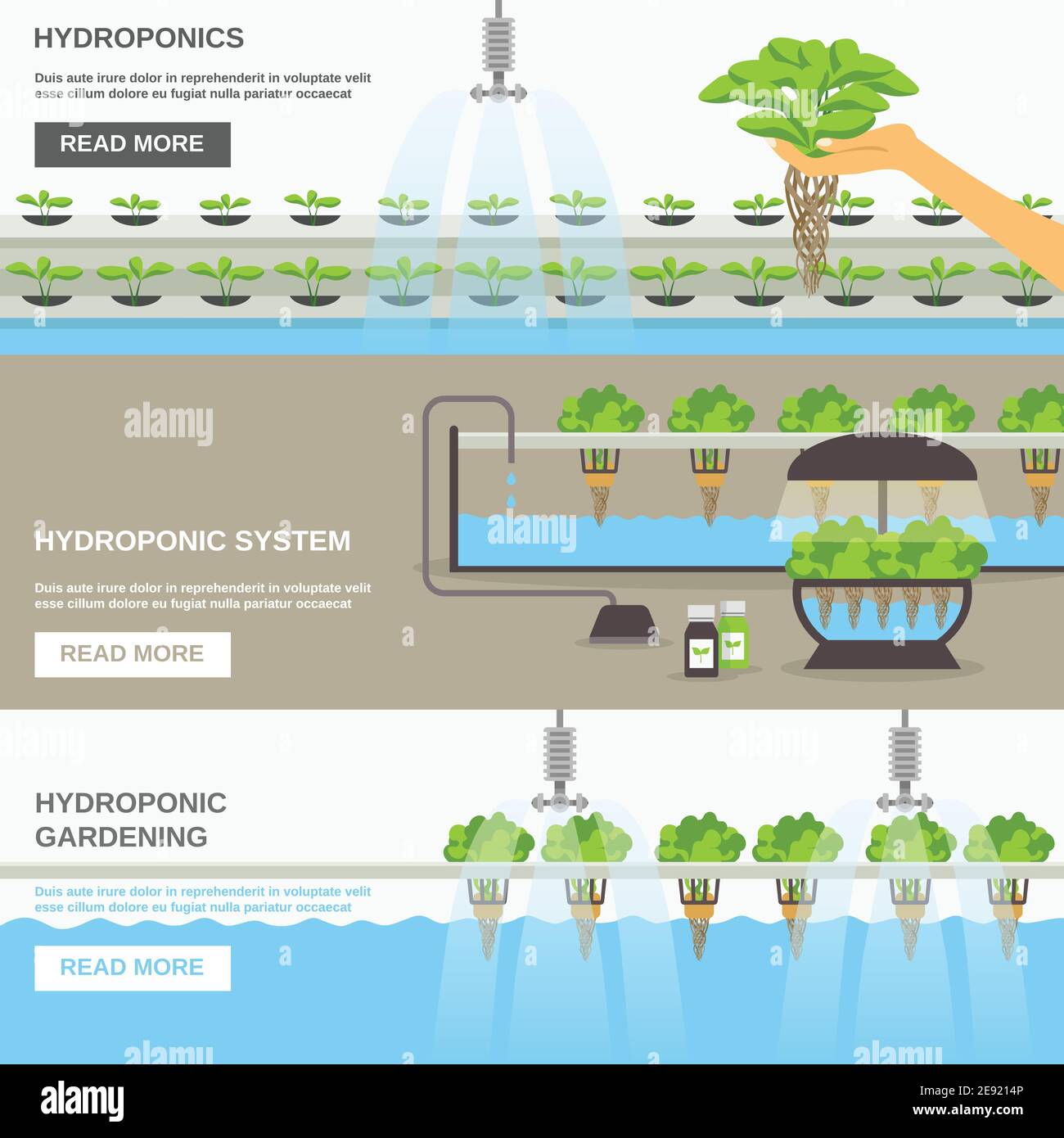 Color flat horizontal banners about hydroponic system gardering with ...