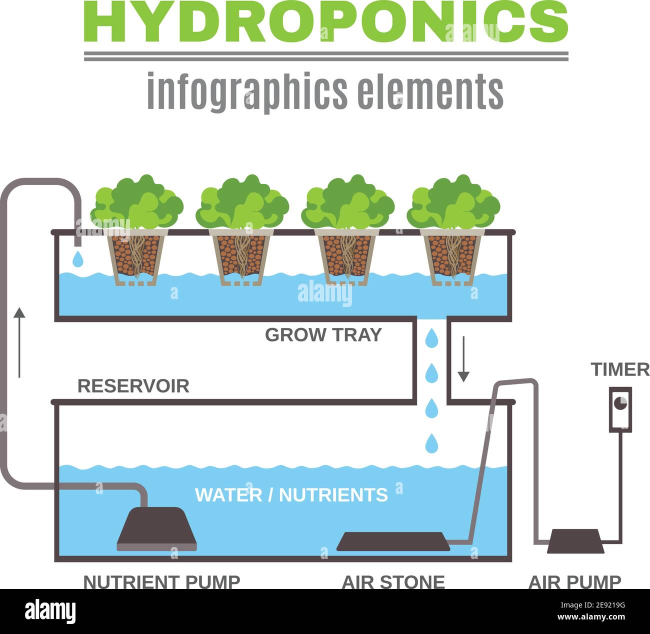 Color flat cncept depicting scheme and the principle of hydroponics ...