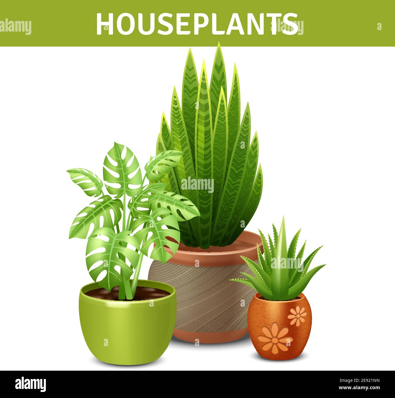 Realistic houseplants composition with green plants pots and ground ...