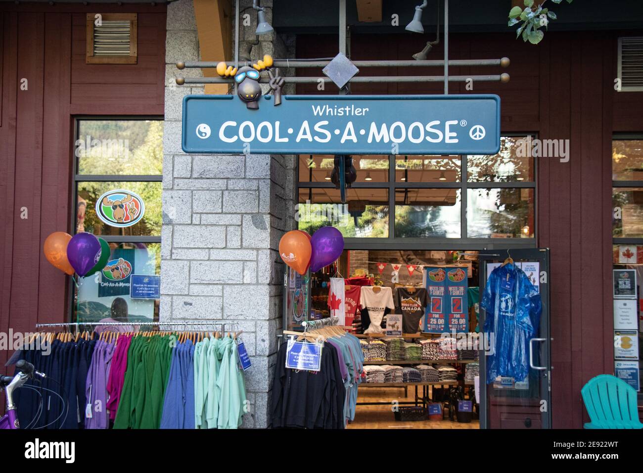 Cool moose hi-res stock photography and images - Alamy