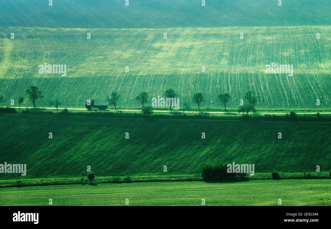 Green countryside landscape of hill with trees and fields Stock Photo ...