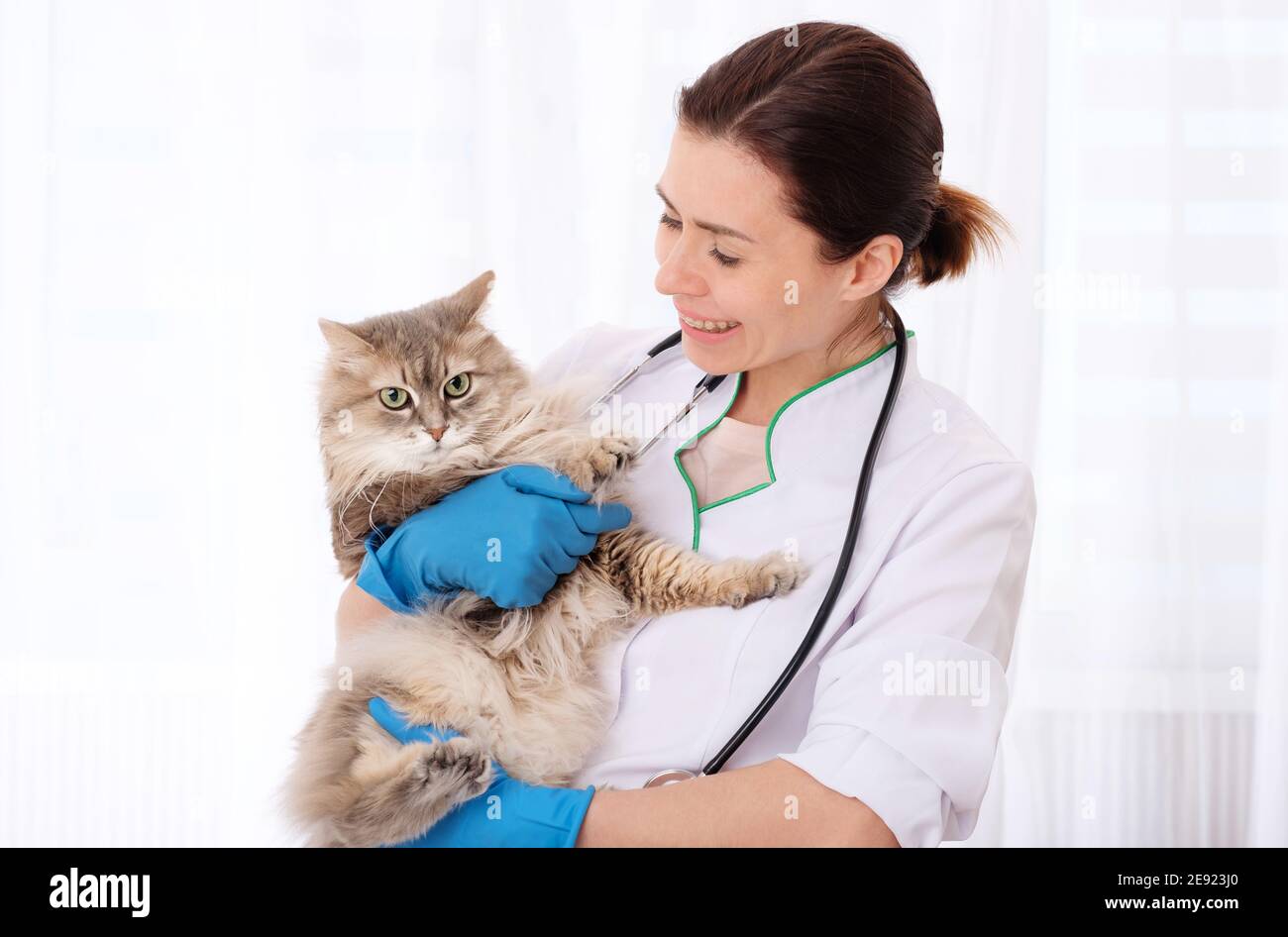 Veterinary appointment hi-res stock photography and images - Alamy