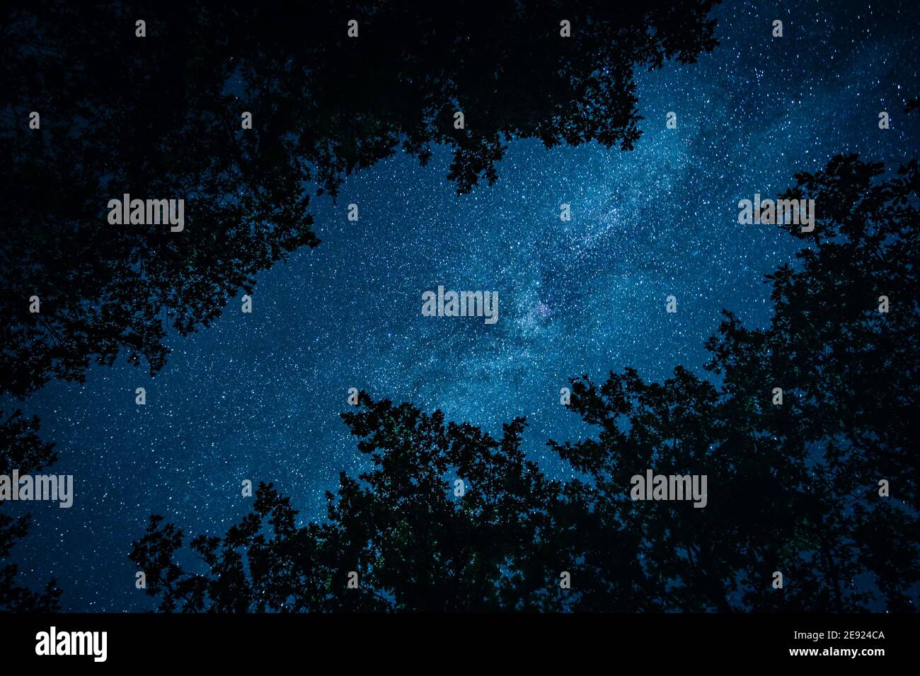 Milky way looking through tree tops silhouettes Stock Photo - Alamy