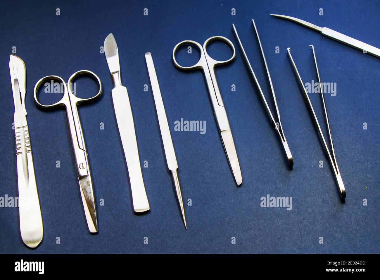 Dissecting forceps hi-res stock photography and images - Alamy