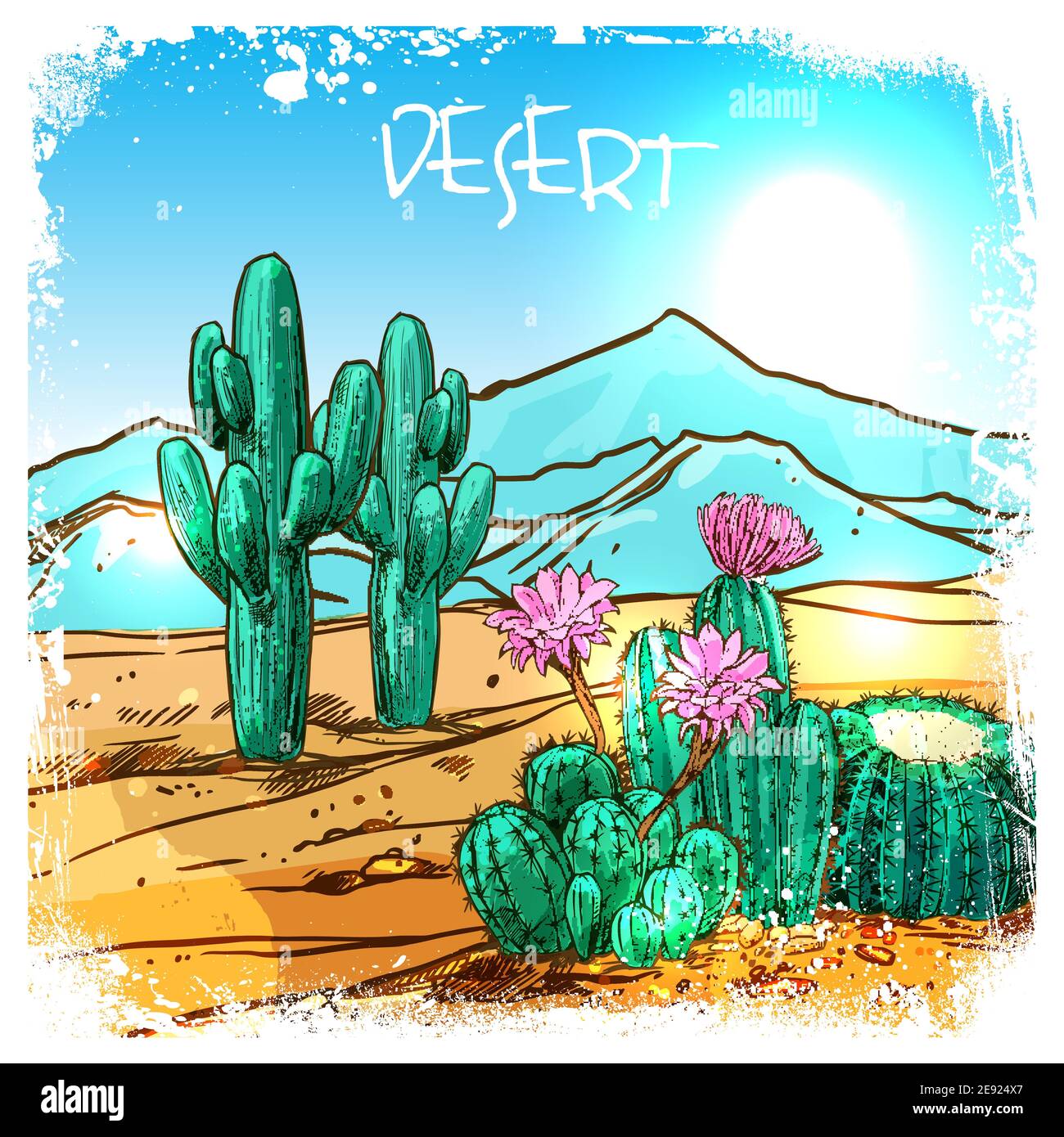 Mexican Desert Background