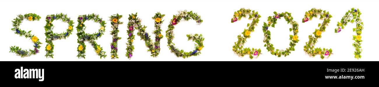 Spring summer 2021 Cut Out Stock Images & Pictures - Alamy