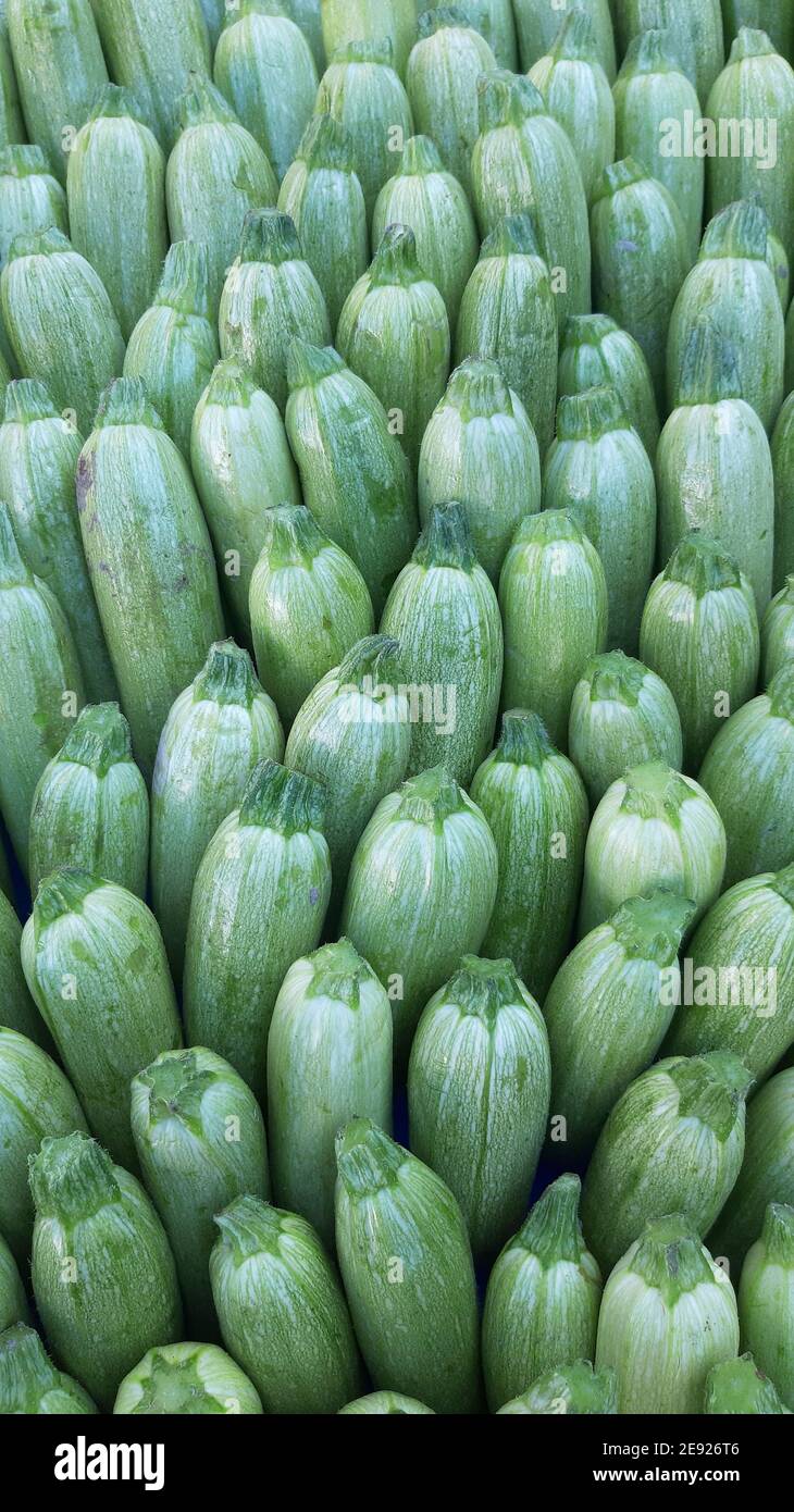 Popular zucchini hi-res stock photography and images - Alamy