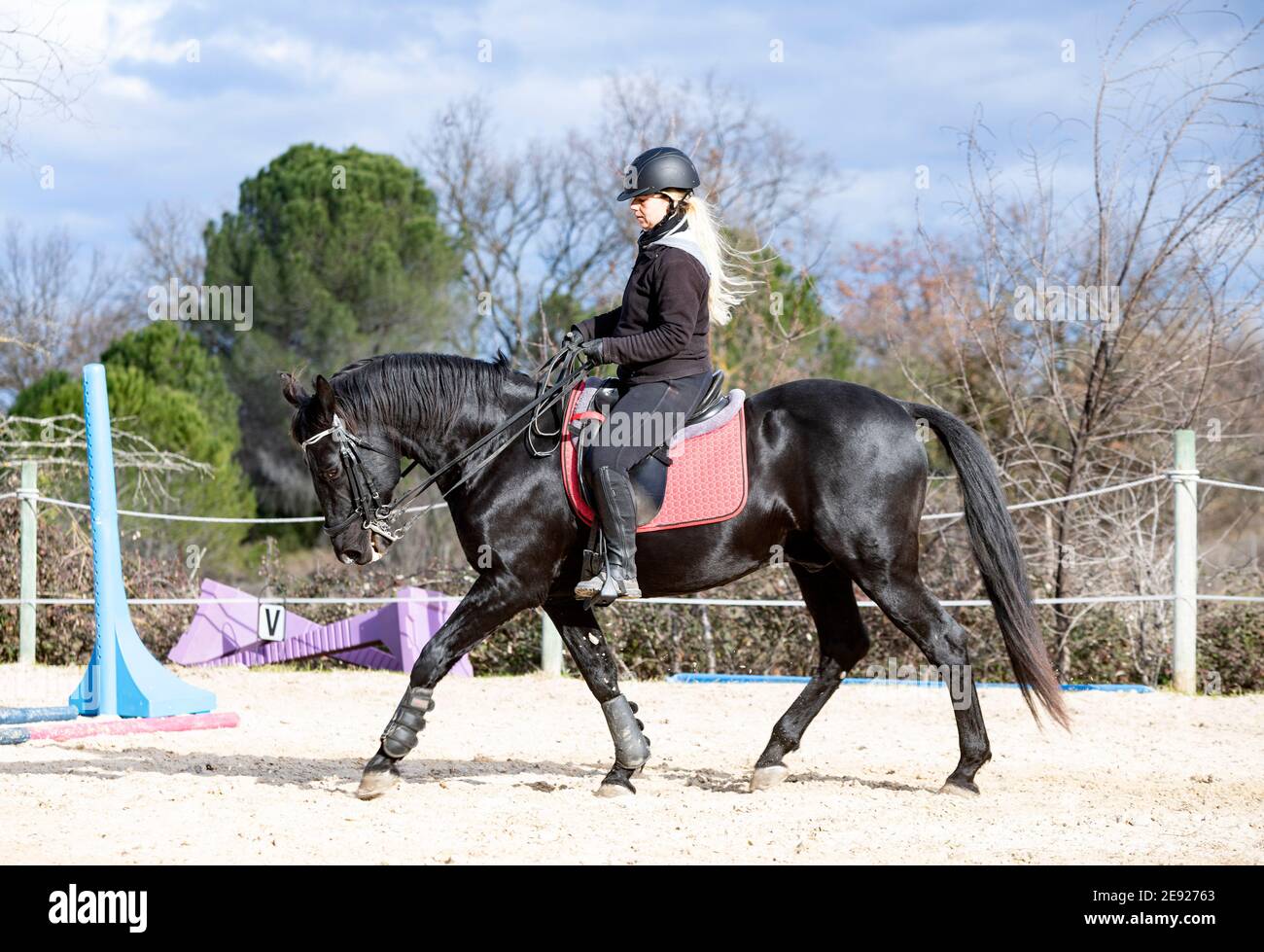 riding girl are training her black horse Stock Photo - Alamy