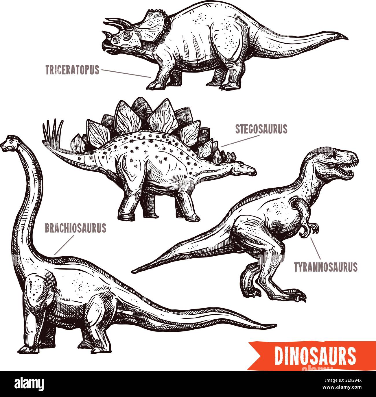 Prehistoric dinosaurs 4 diverse jurassic reptiles animals hand drawn ...