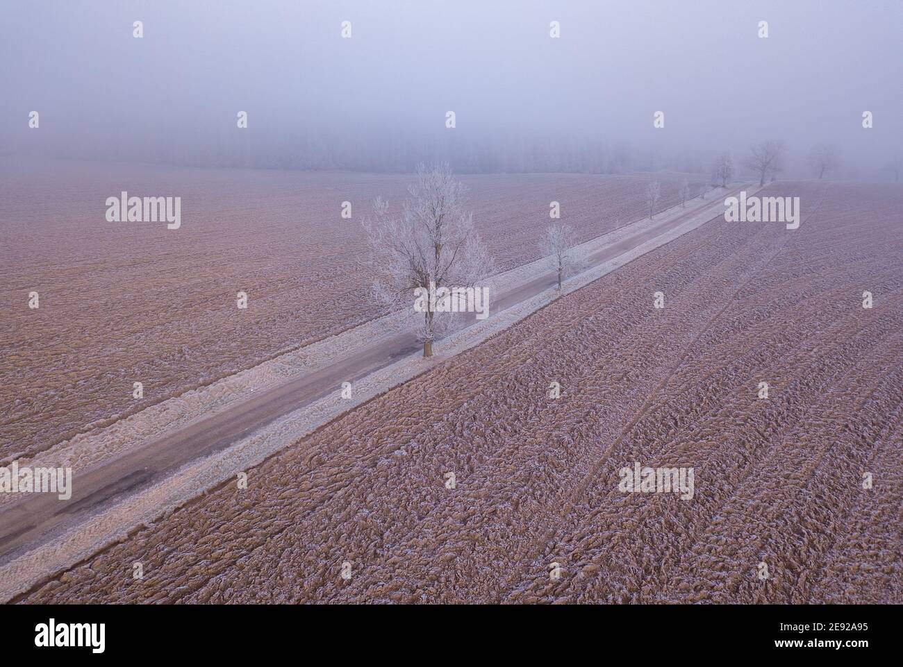winter road, landscape covered by morning frost, top down aerial view ...