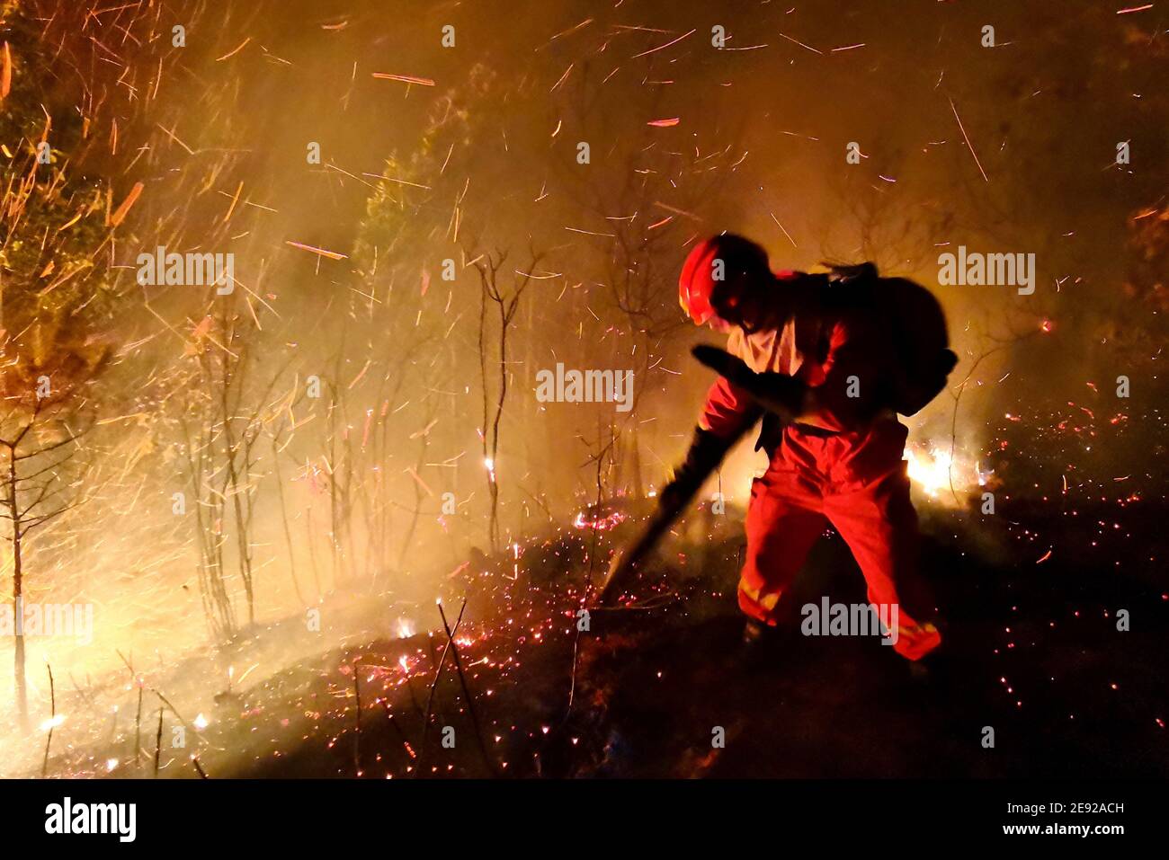 Putting out forest fire hi-res stock photography and images - Alamy