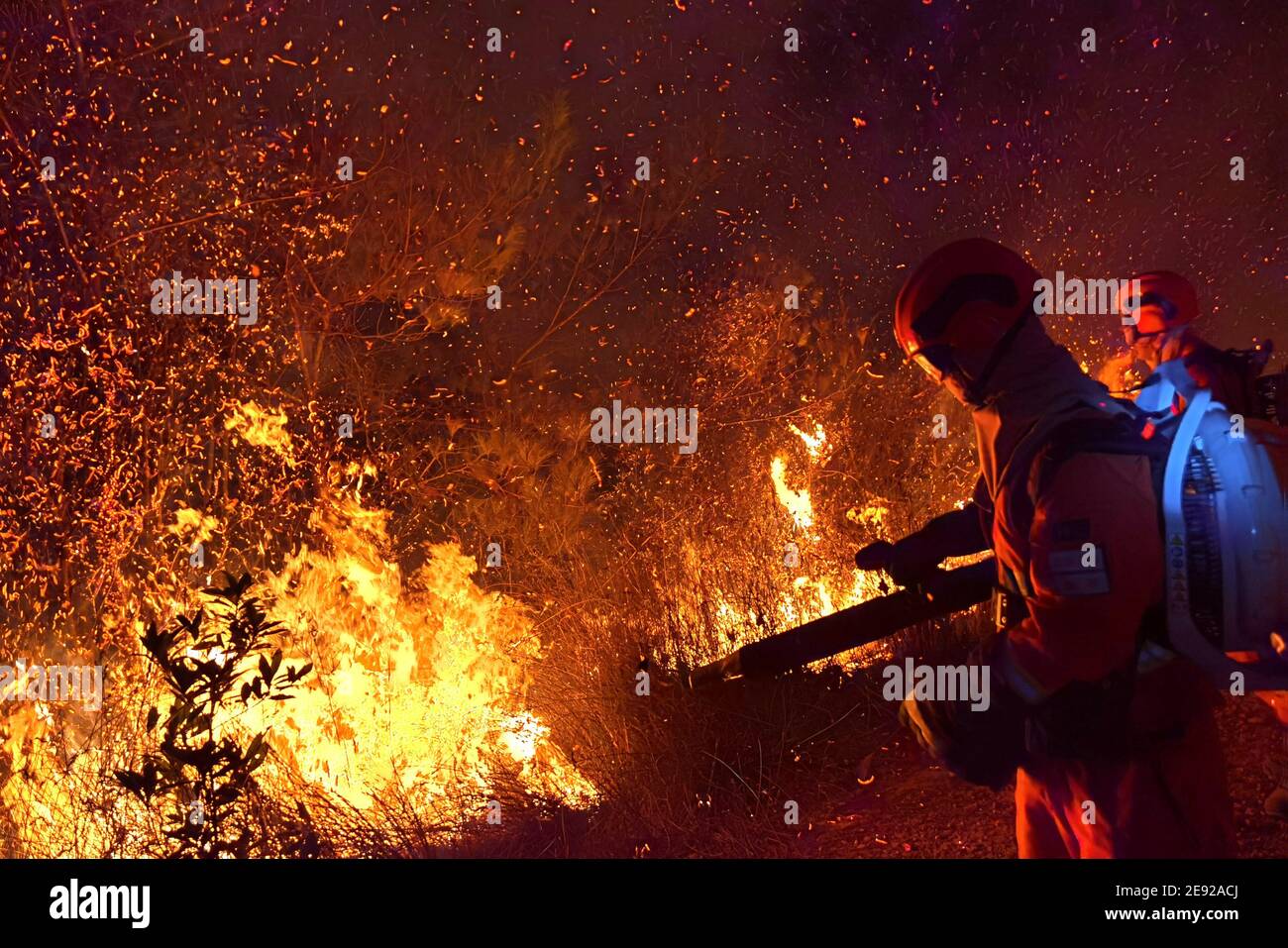 Firefighter putting out forest hi-res stock photography and images - Alamy