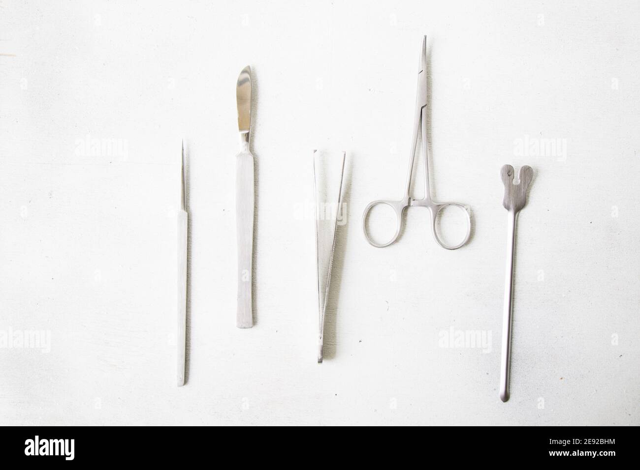 Dissecting forceps hi-res stock photography and images - Alamy