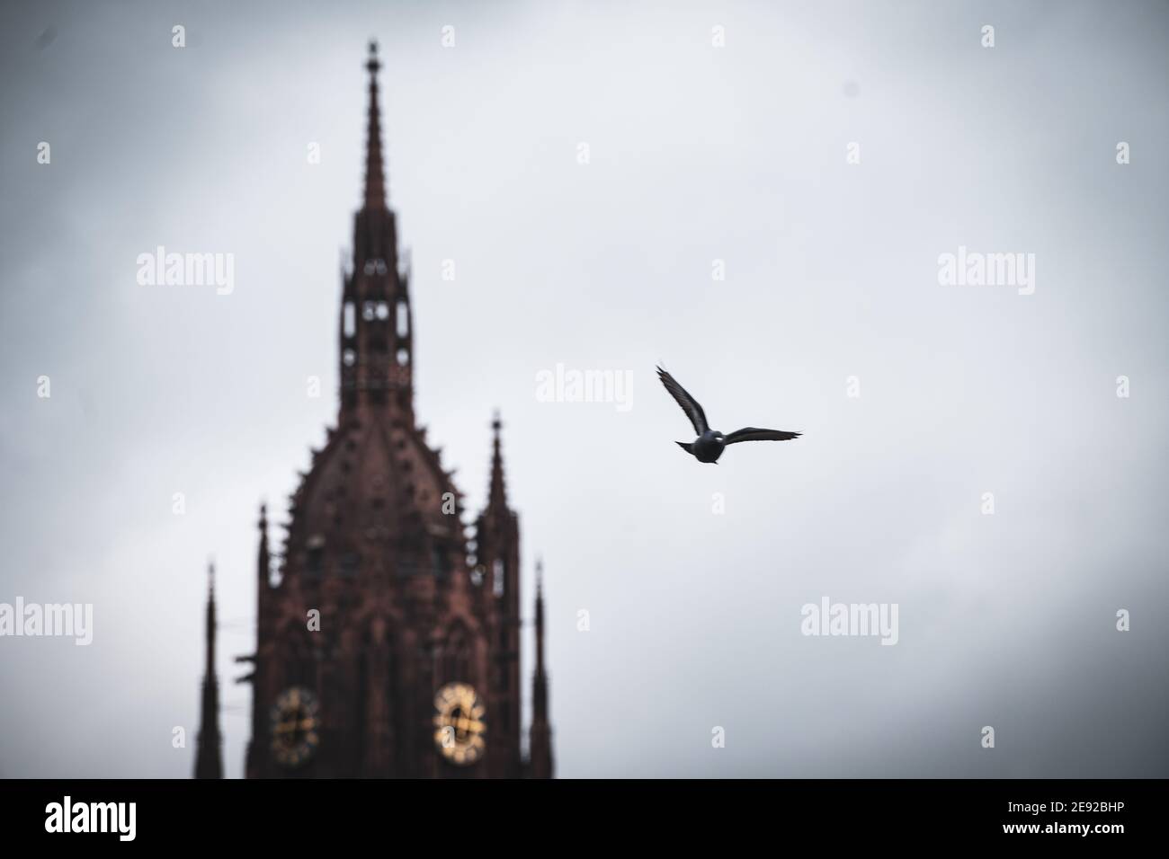 sky, bird and church Stock Photo - Alamy