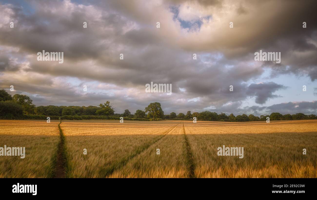 Beautiful early summer farmland from Warwickshire, UK Stock Photo - Alamy