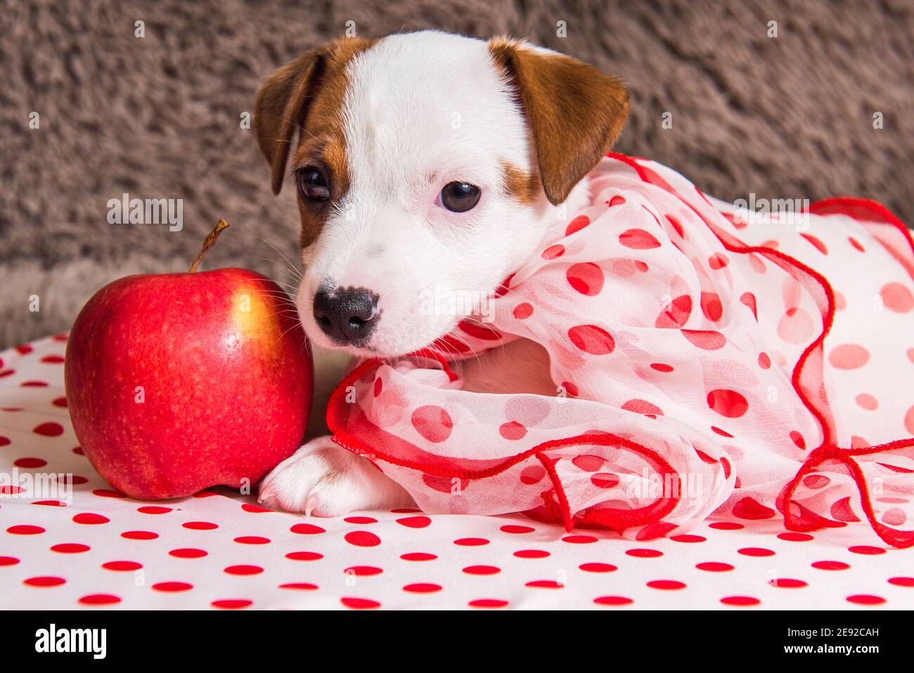 Red and white polka dots dress hi-res stock photography and images - Alamy