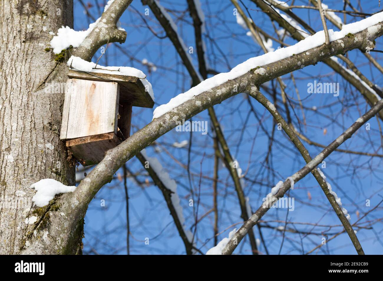 Home of bird hi-res stock photography and images - Alamy