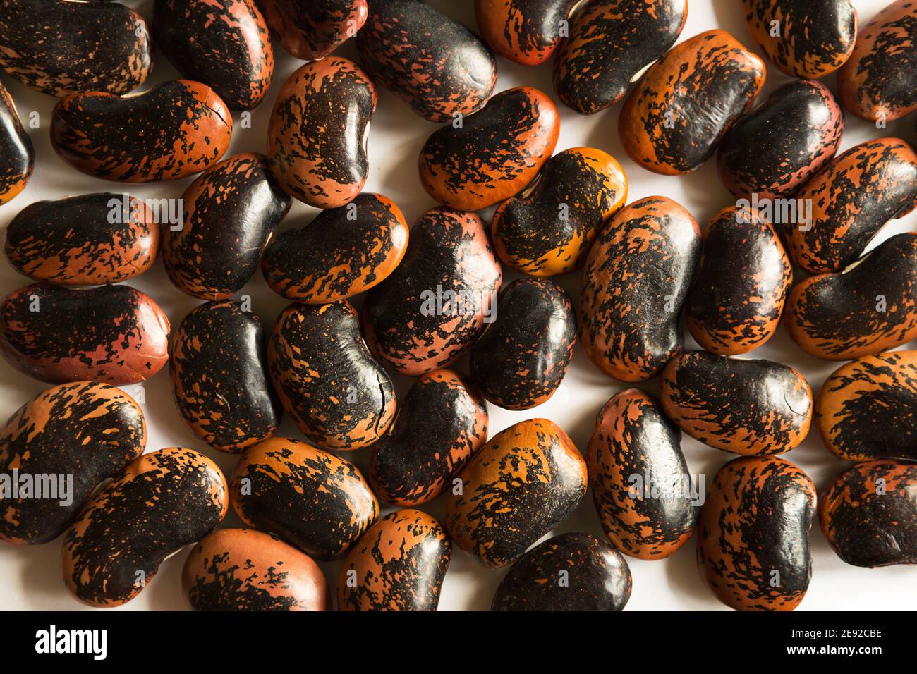 Red and black spotted beans close-up. The pattern of the haricot ...