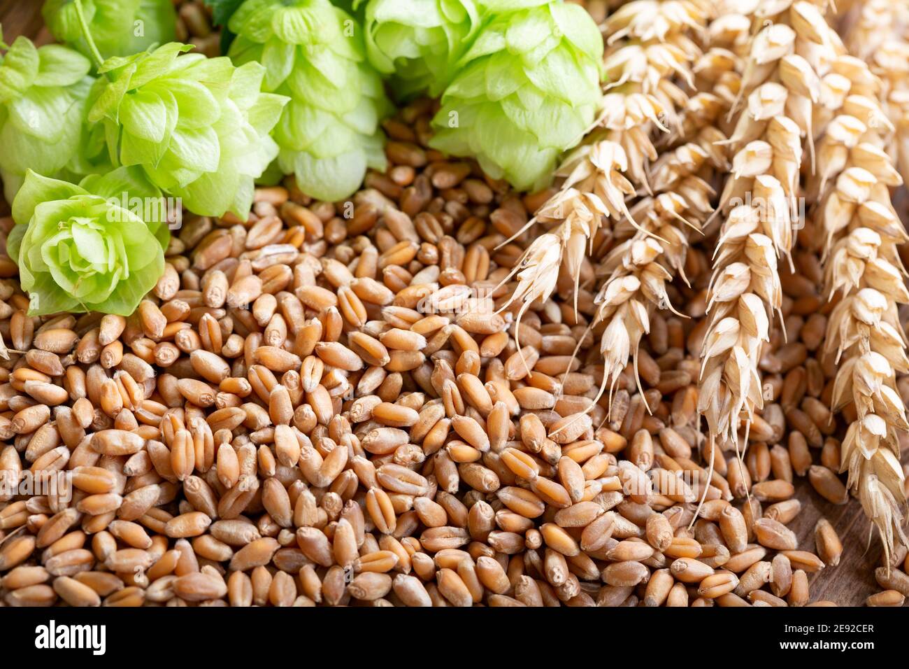 green hops, wheat ears and grains, top view Stock Photo - Alamy