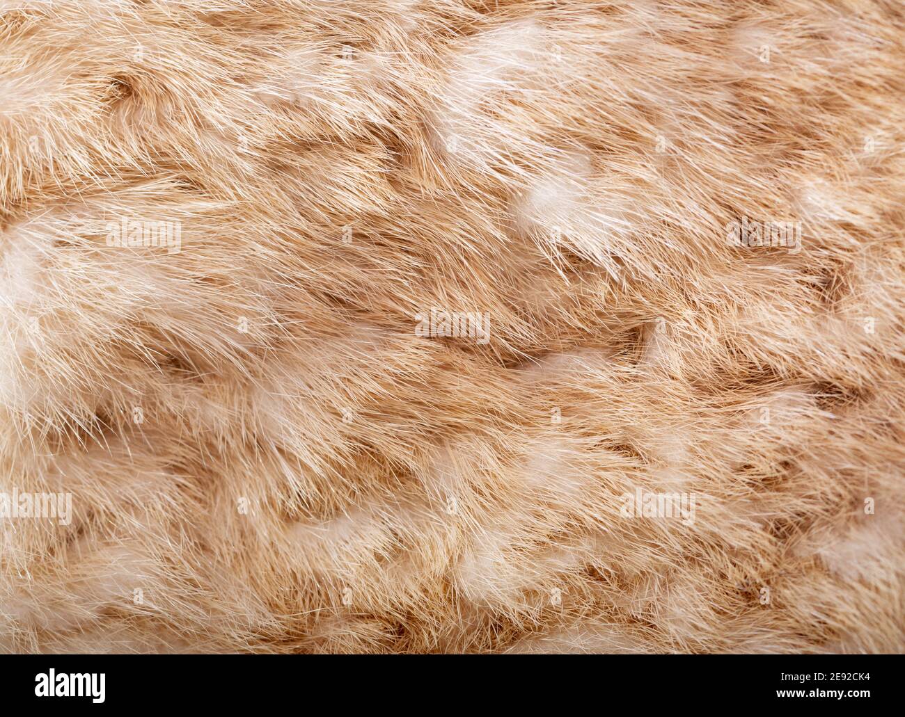 Natural animal fur texture as background Stock Photo - Alamy