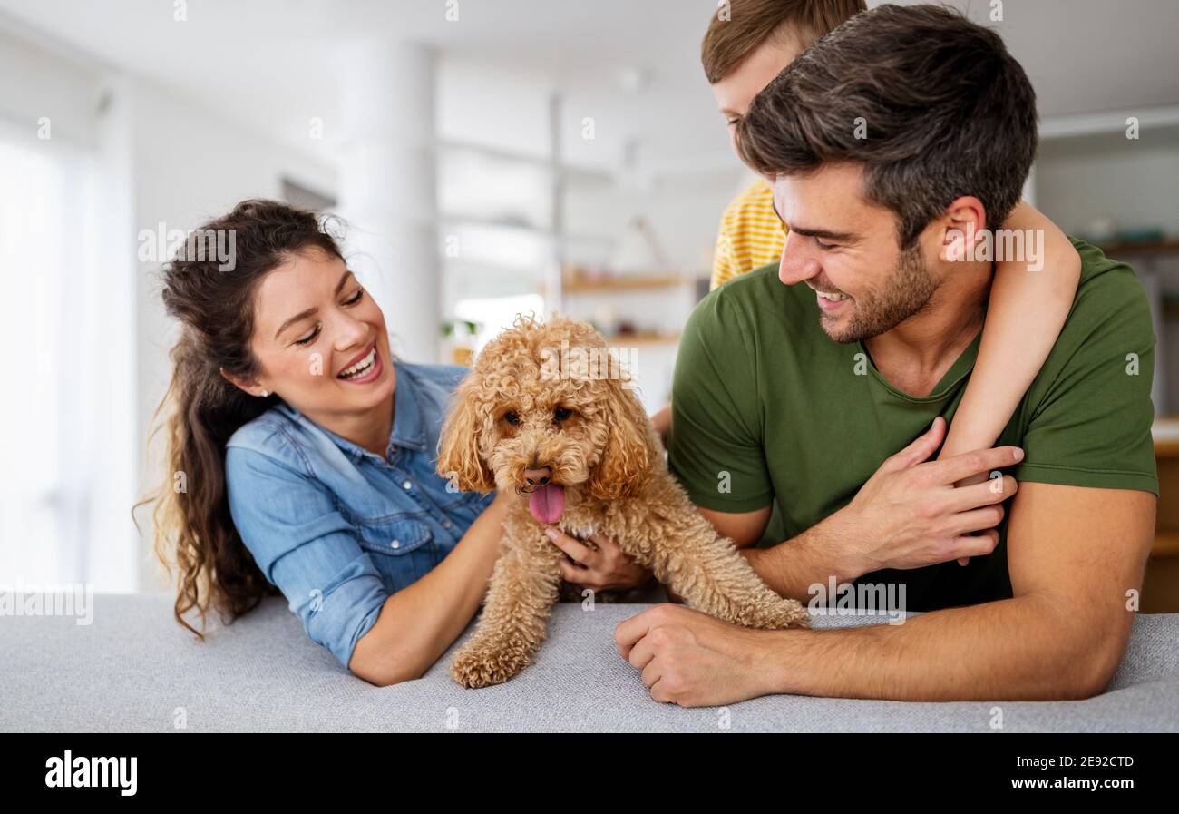Happy family playing, having fun with dog at home Stock Photo - Alamy