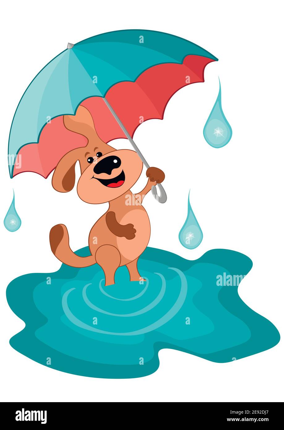 Funny dog walks with a colored umbrella in the rain. Walking, rest ...