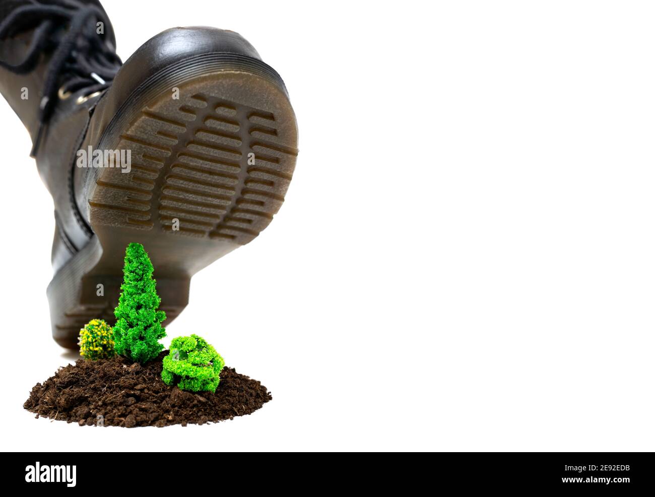 Human foot wearing a work boot one step away from destroying a small ...