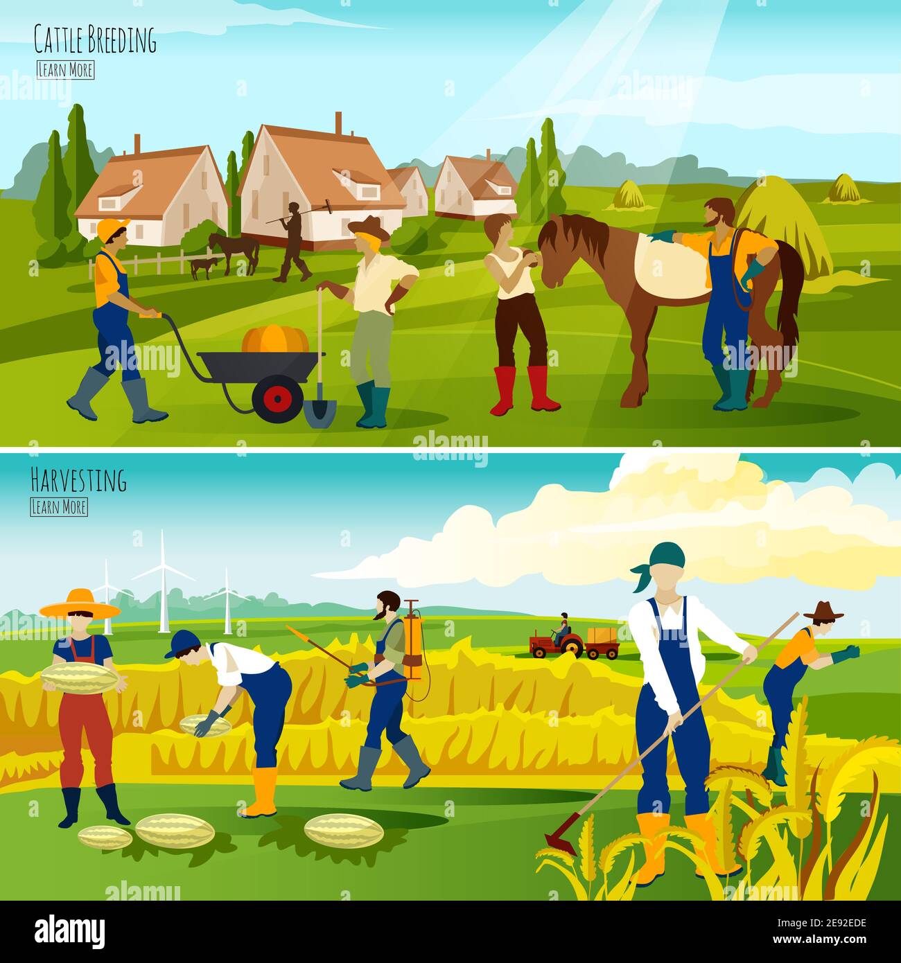 Cattle breeding for beef market and crop harvesting 2 flat horizontal ...
