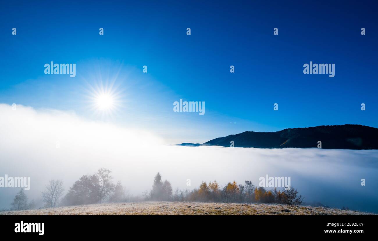 Autumn early morning and frozen dry grass covered with white fog under ...