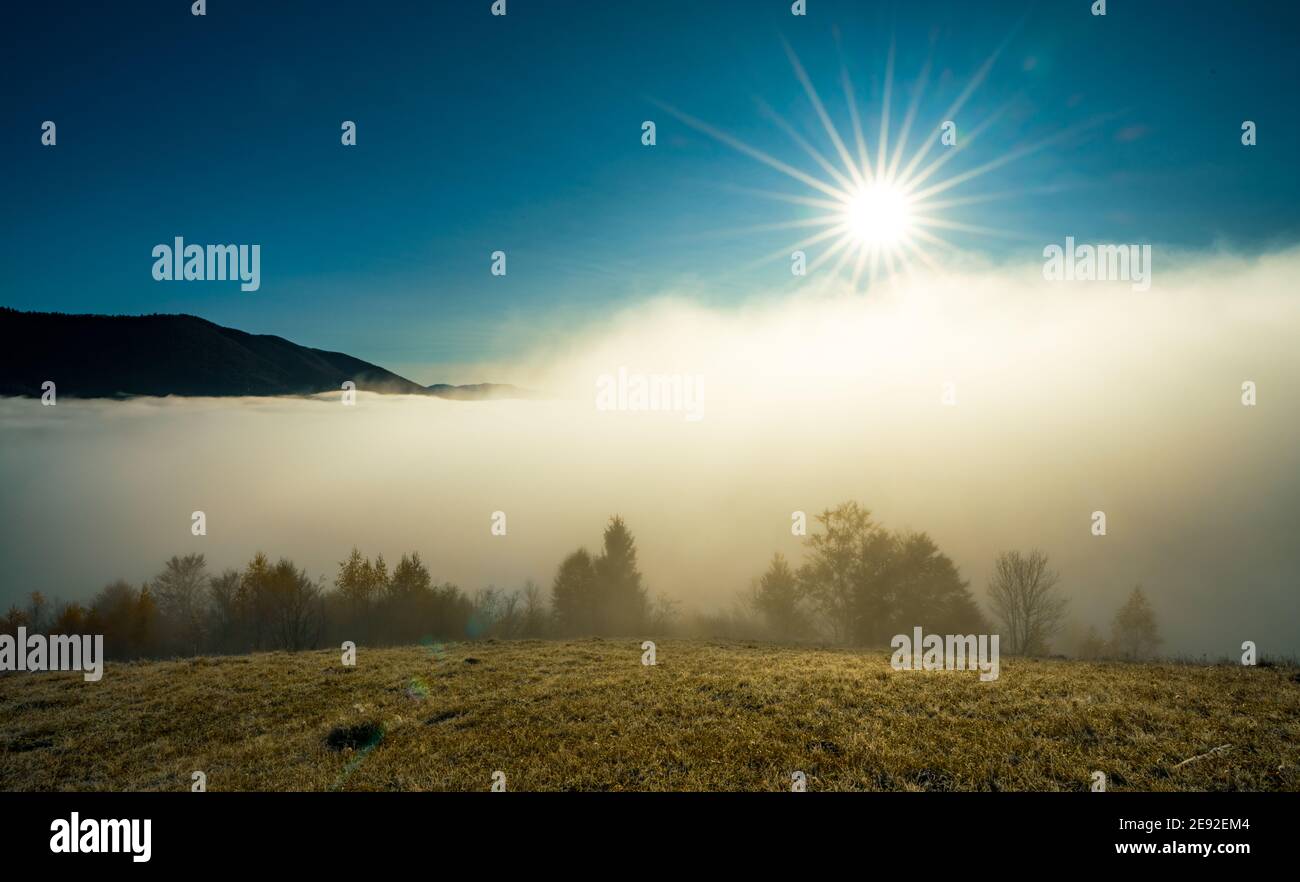 Autumn early morning and frozen dry grass covered with white fog under ...