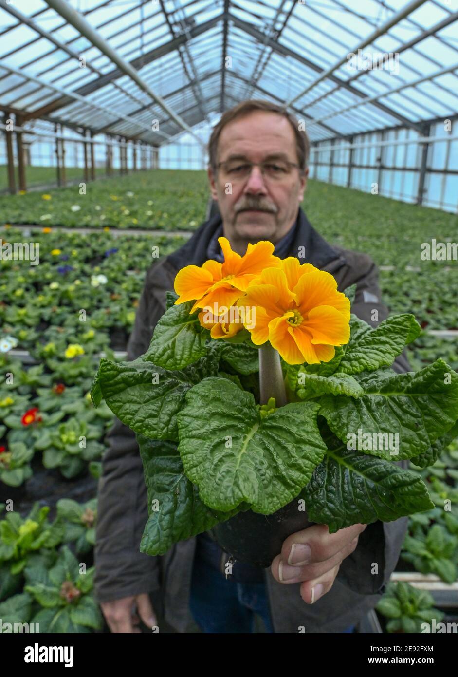 Manschnow, Germany. 02nd Feb, 2021. Klaus Henschel, President of the ...