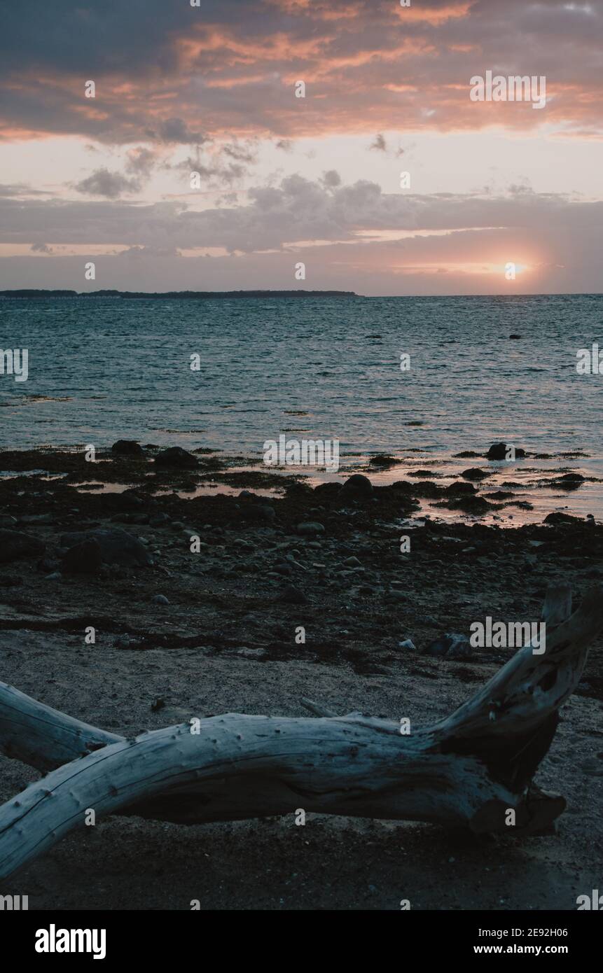 Closeup vertical shot beach hi-res stock photography and images - Alamy