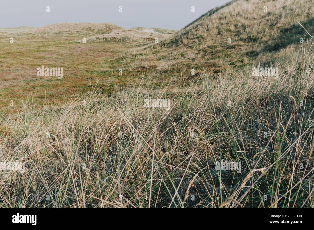 Windy hills hi-res stock photography and images - Alamy