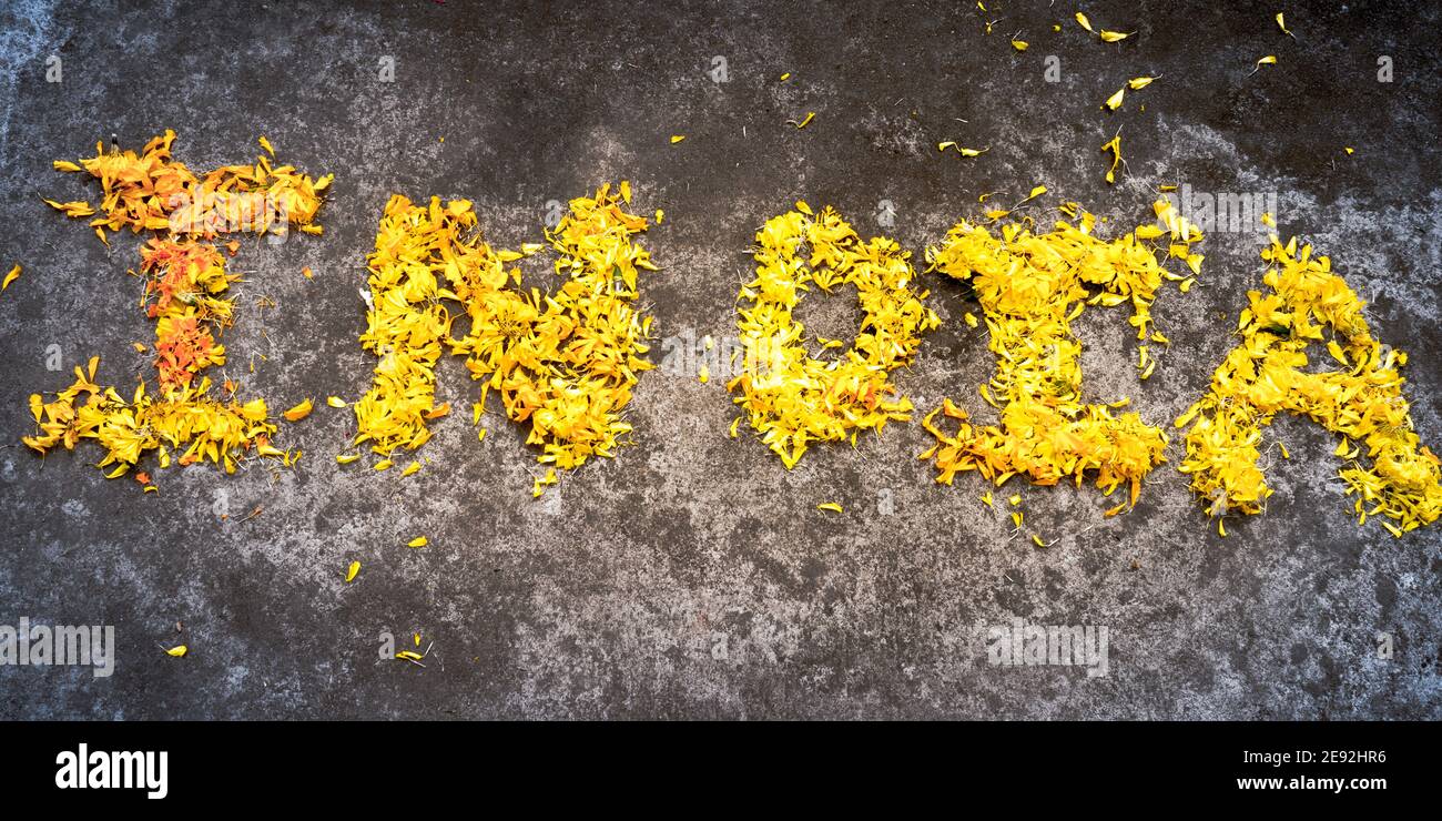 The Word India written with yellow marigold flowers in 26th January on ...