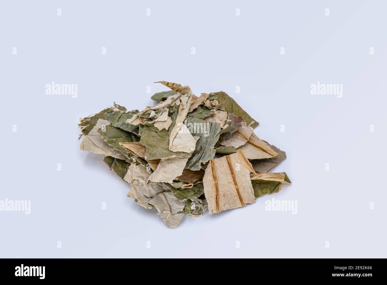 Chinese plant diversity hi-res stock photography and images - Alamy