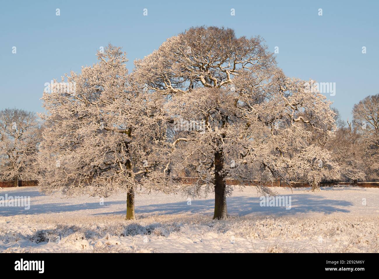 A bright sunny morning at Wollaton Park, covered in snow. Nottingham ...