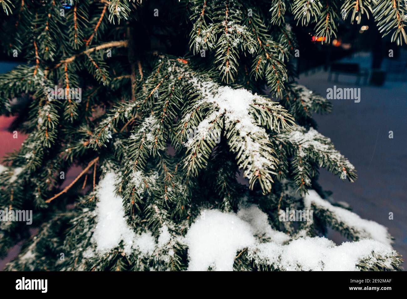 night snowfall storm is a natural phenomenon of precipitation in winter ...